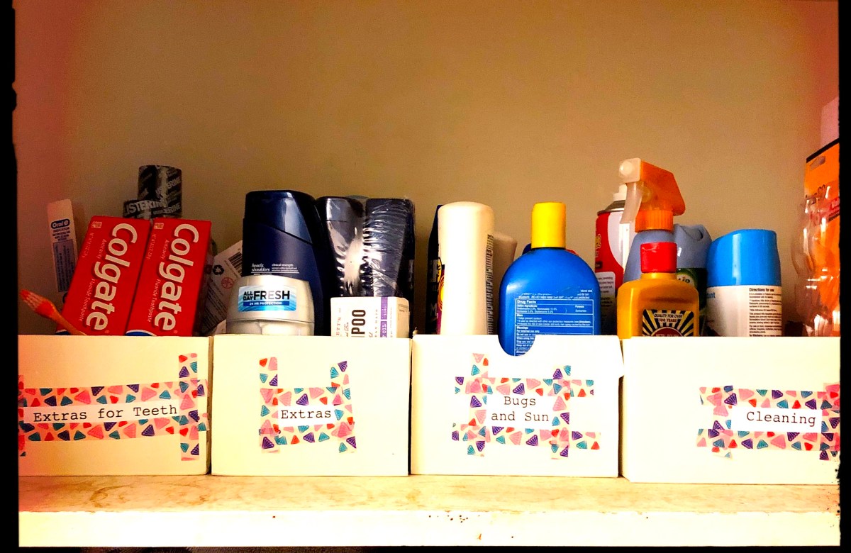 Hakol B’seder? – The Bal Tashchit Balabusta