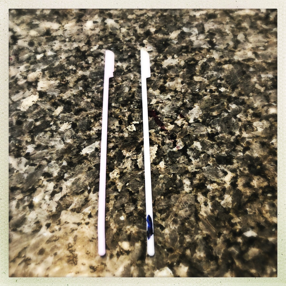 Good to the Last Drop – The Bal Tashchit Balabusta